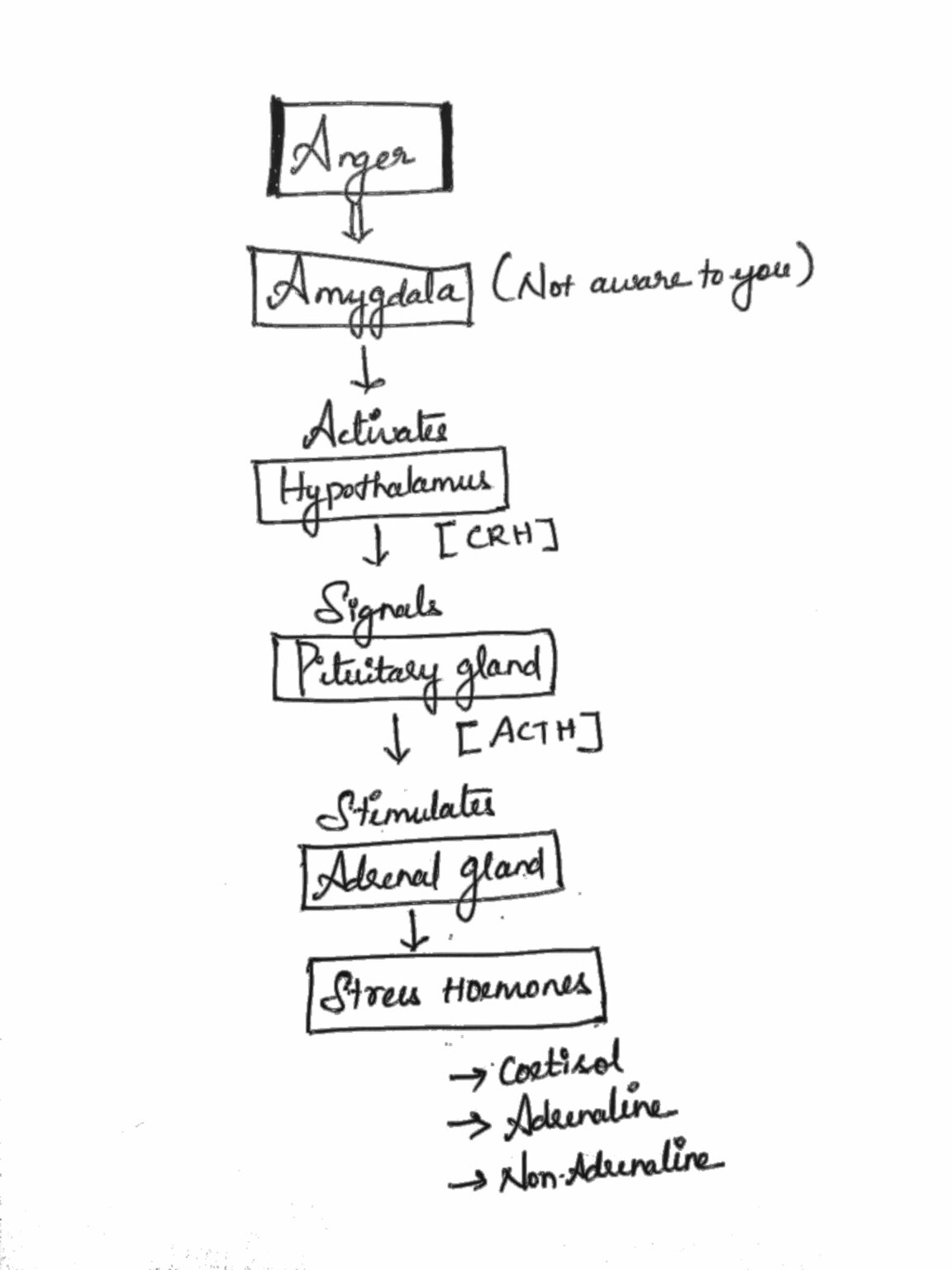 Anger, How it impacts our Health & strategies to cope up - DoctorGko